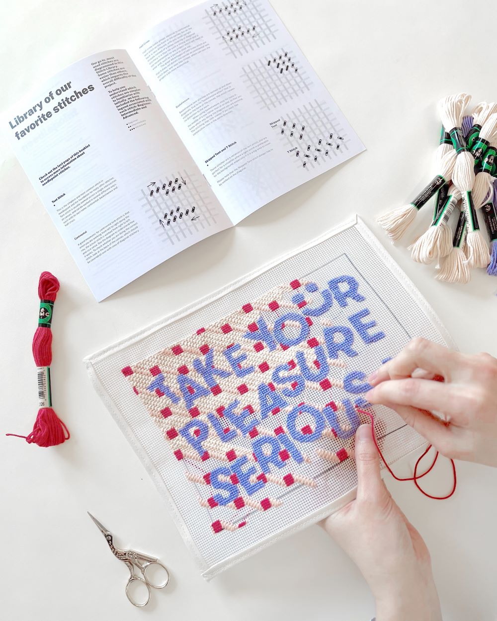 Take your Pleasure Seriously - Mental Health Needlepoint Kit – Unwind ...
